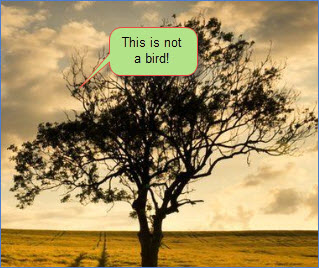 3 Best Ways to Take a Screenshot - ExcelNotes