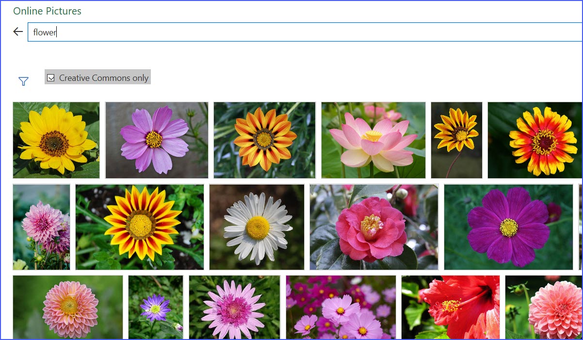 How to Insert an Online Picture in Excel - ExcelNotes
