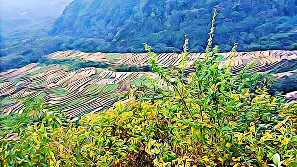 Working Days In Nagaland India In 2023 ExcelNotes