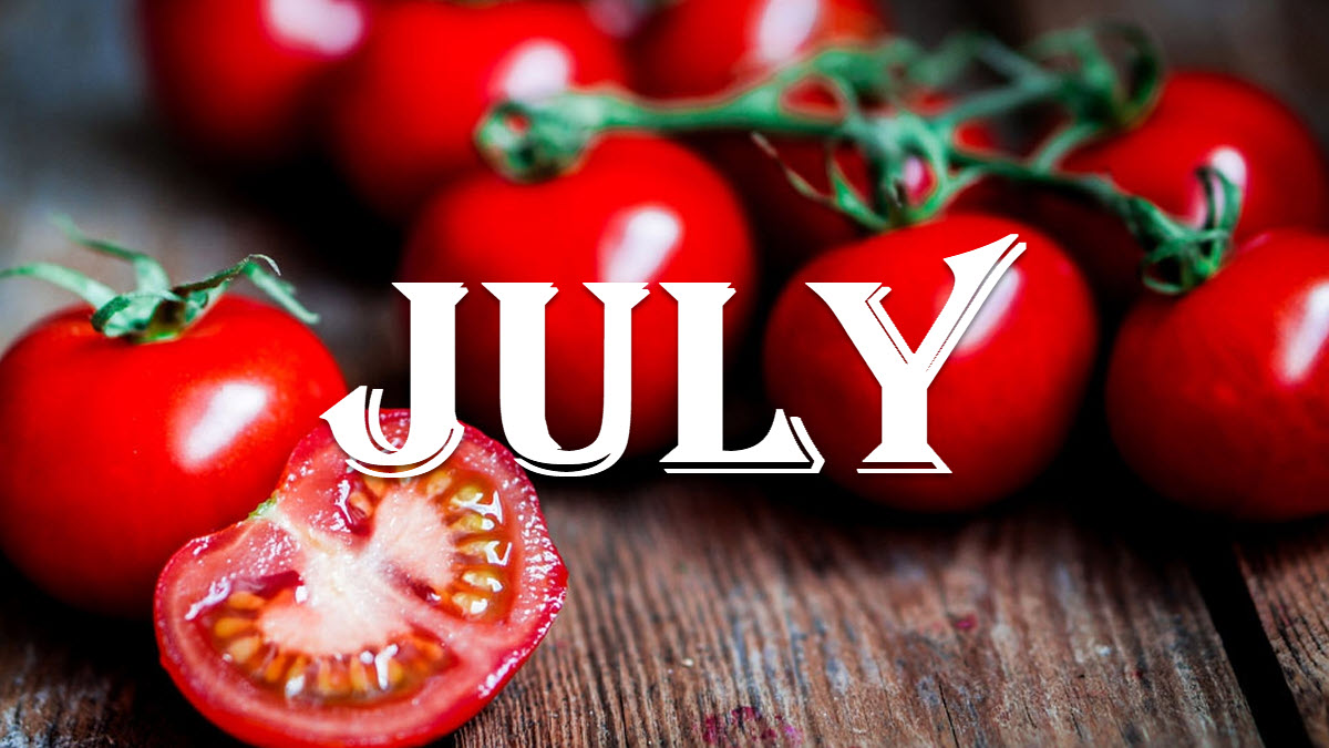 How Many Days In July 2023 ExcelNotes
