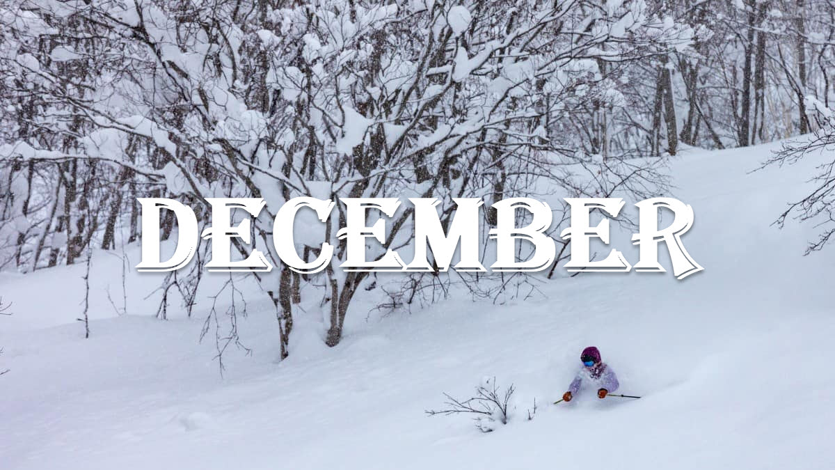  How Many Days In December 2023 ExcelNotes