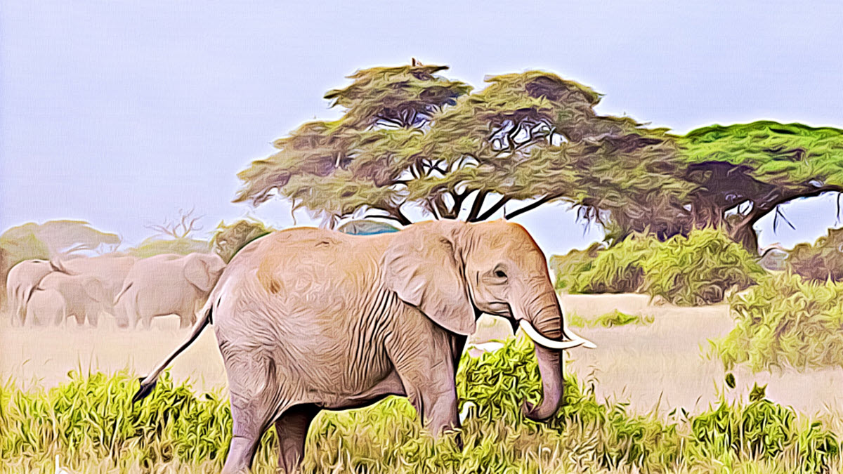 Jamhuri Day - ExcelNotes