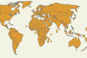 Table Archives - ExcelNotes