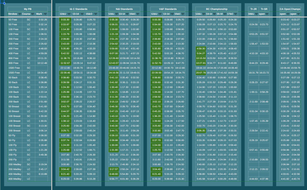 Swimming Marks Dashboard - ExcelNotes
